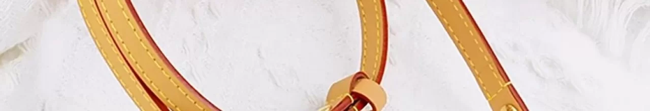 Shoulder strap