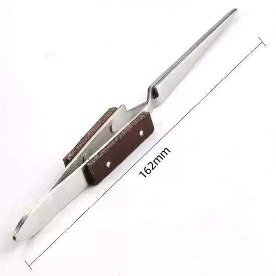 Spring, tweezers