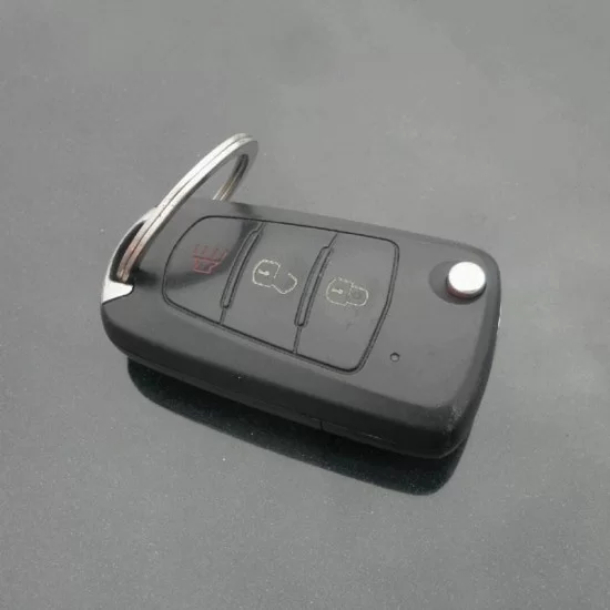 Great wall, car key case, mould, mold