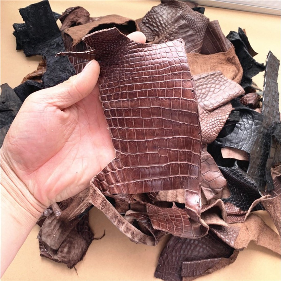 crocodile skin scraps