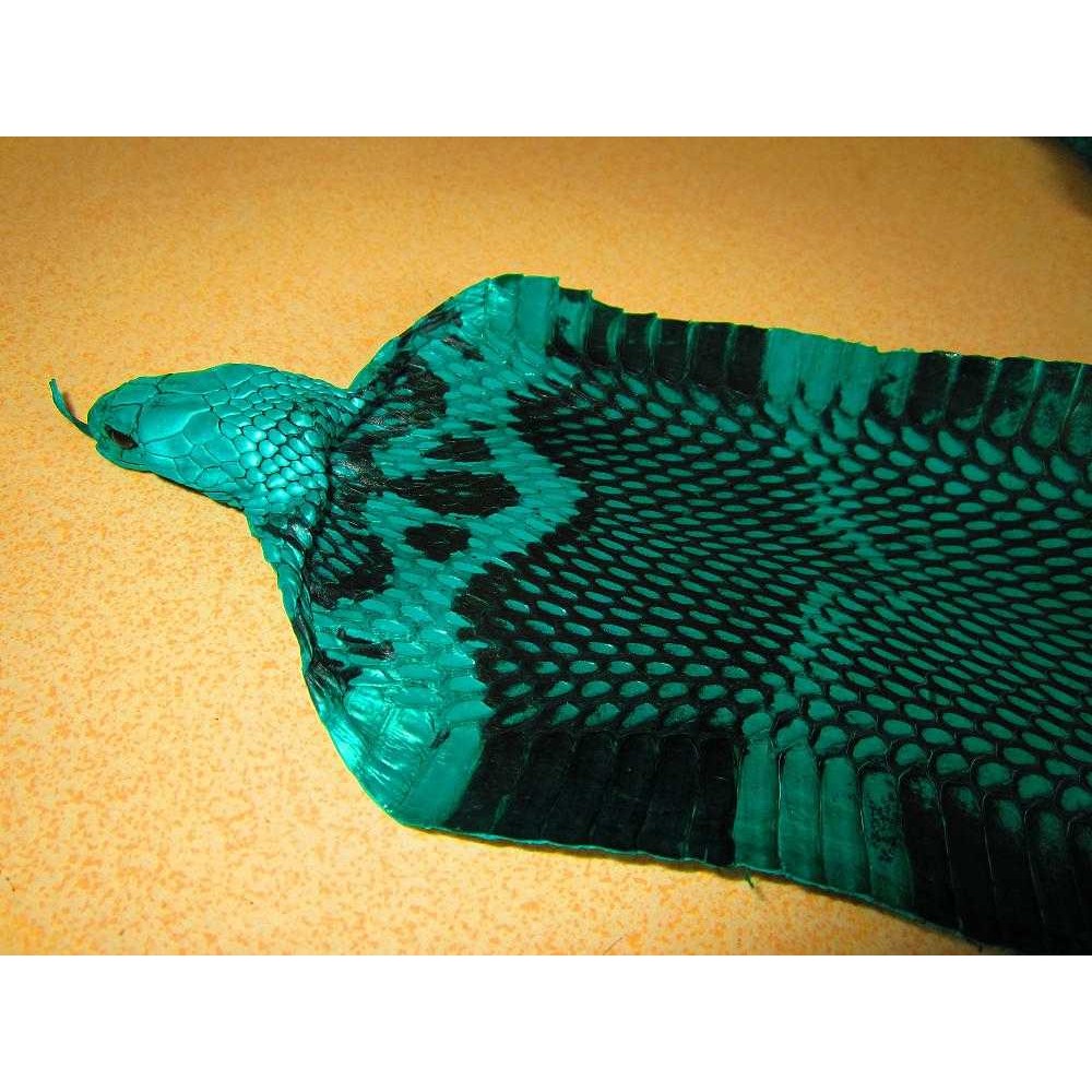 Natural genuine head cobra snake skin leather Pelt 14cm x 140cm (5.5" x ...