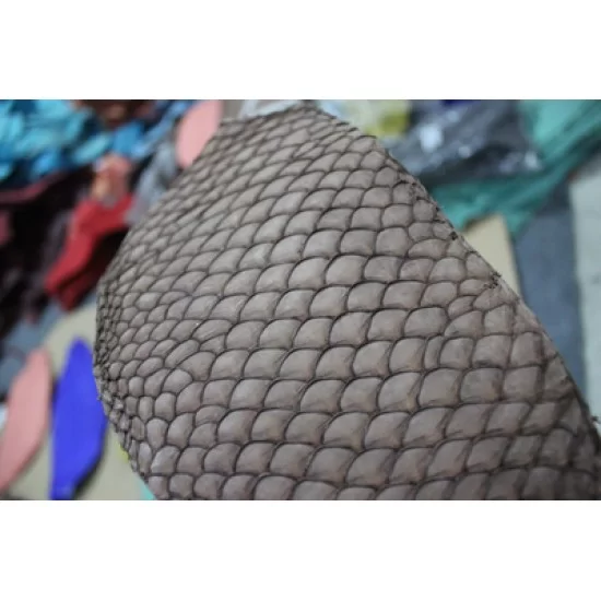 Carp skin, fish skin, leathercraft supplies
