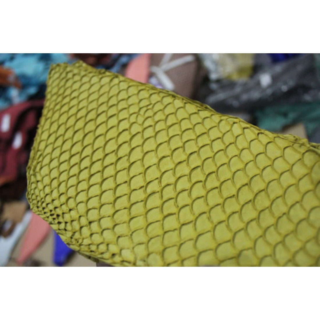 Carp skin, fish skin, leathercraft supplies