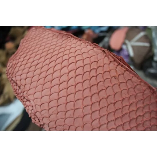 Carp skin, fish skin, leathercraft supplies